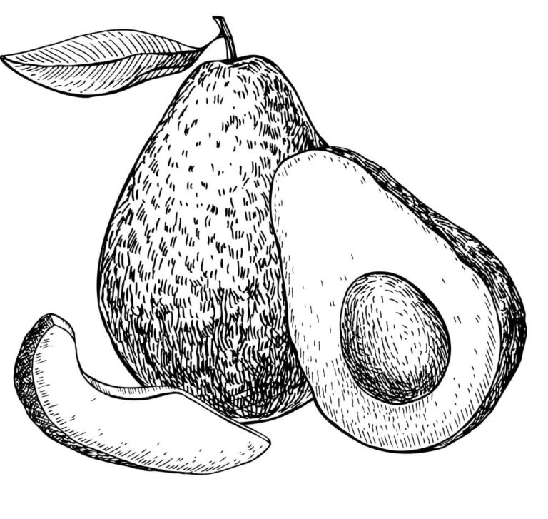 Disegni di Avocado da colorare. Stampa gratis | WONDER DAY — Disegni da ...