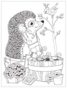 Coloring Pages Hedgehog for Kids, 150 pieces. Print A4