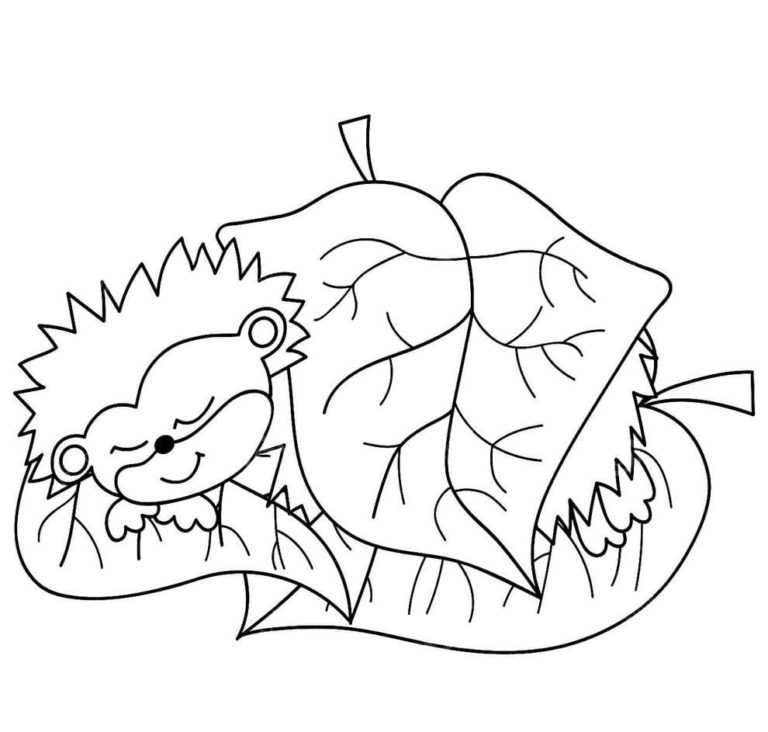 Ausmalbilder Igel für Kinder, 150 Stück. Drucken Sie A4