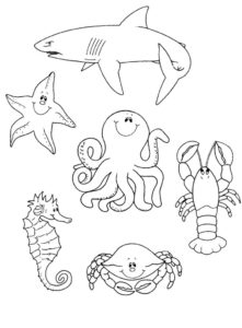 Coloring pages Sea and Ocean Animals - Underwater World