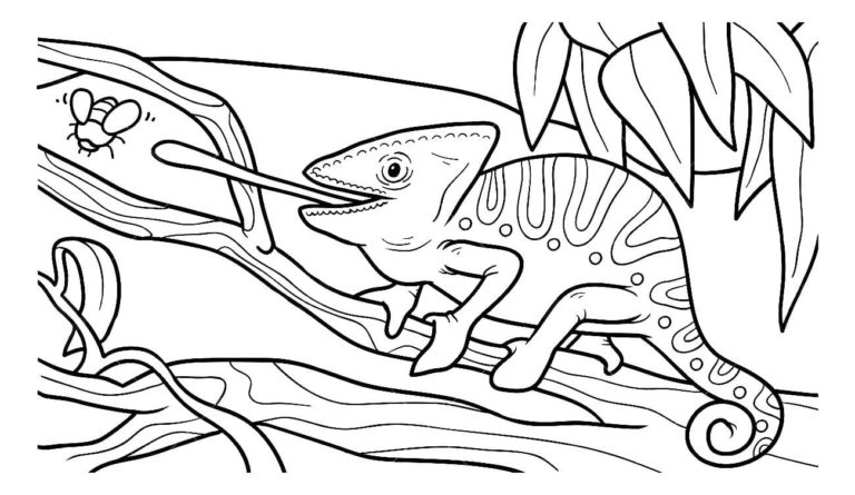 Chameleon coloring pages - Free coloring pages | WONDER DAY — Coloring ...