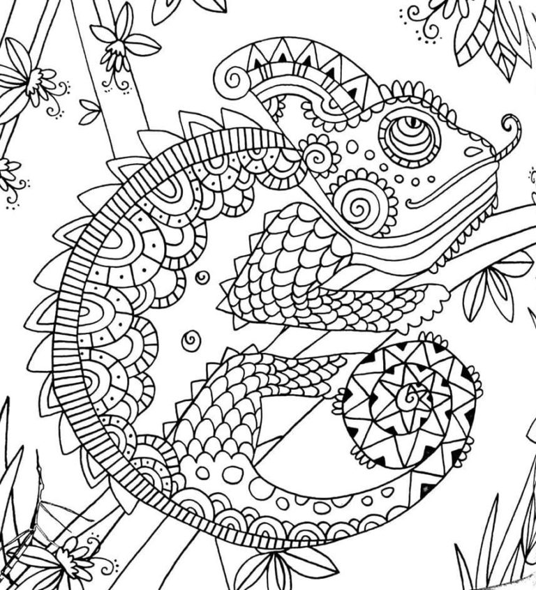 Chameleon coloring pages - Free coloring pages | WONDER DAY — Coloring ...