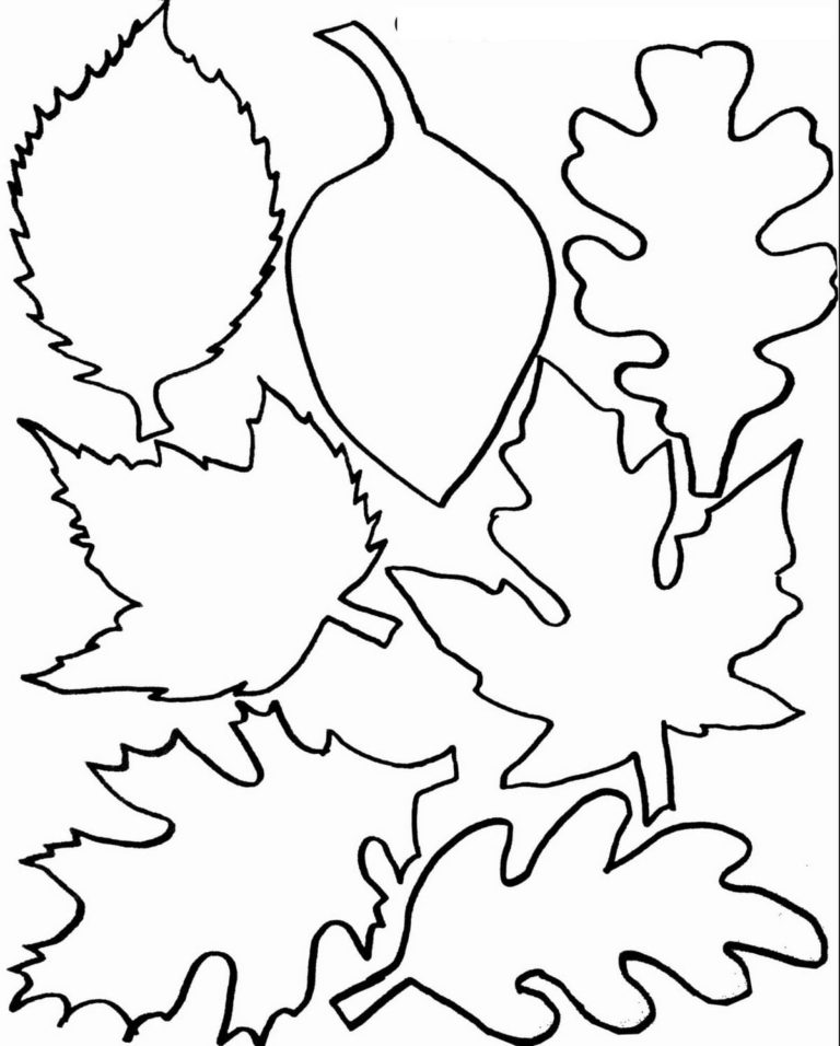 Раскраски Листья | 90 Лучших картинок для детей