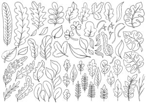Раскраски Листья | 90 Лучших картинок для детей