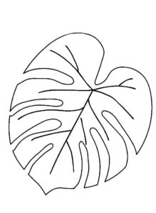 Раскраски Листья | 90 Лучших картинок для детей