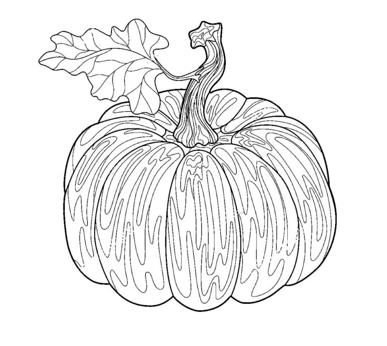 Раскраски Тыква 90 Картинок для раскрашивания