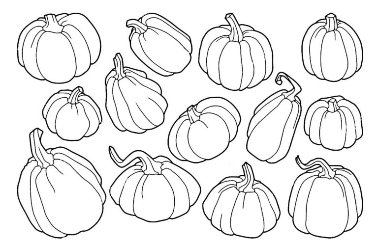 Раскраски Тыква 90 Картинок для раскрашивания