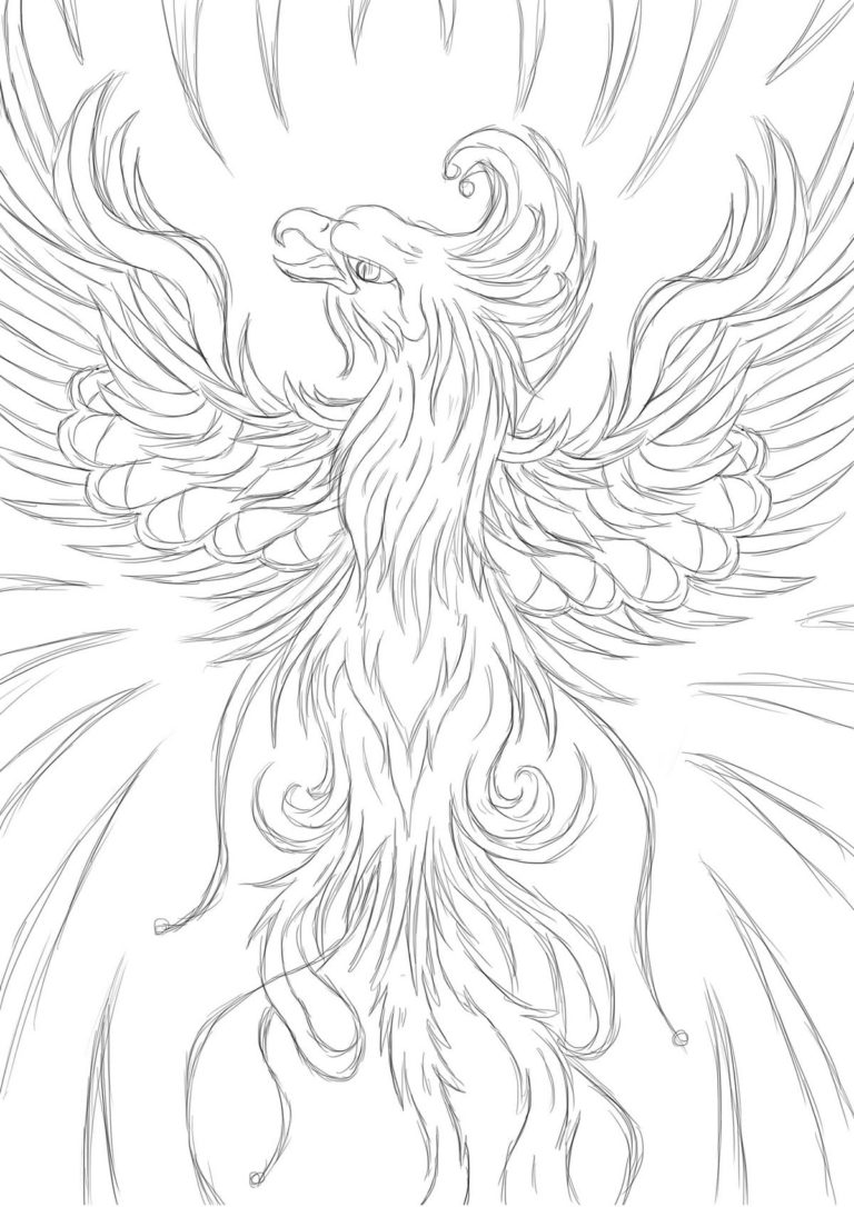 Disegni da colorare di Fenice | Wonder-day.com