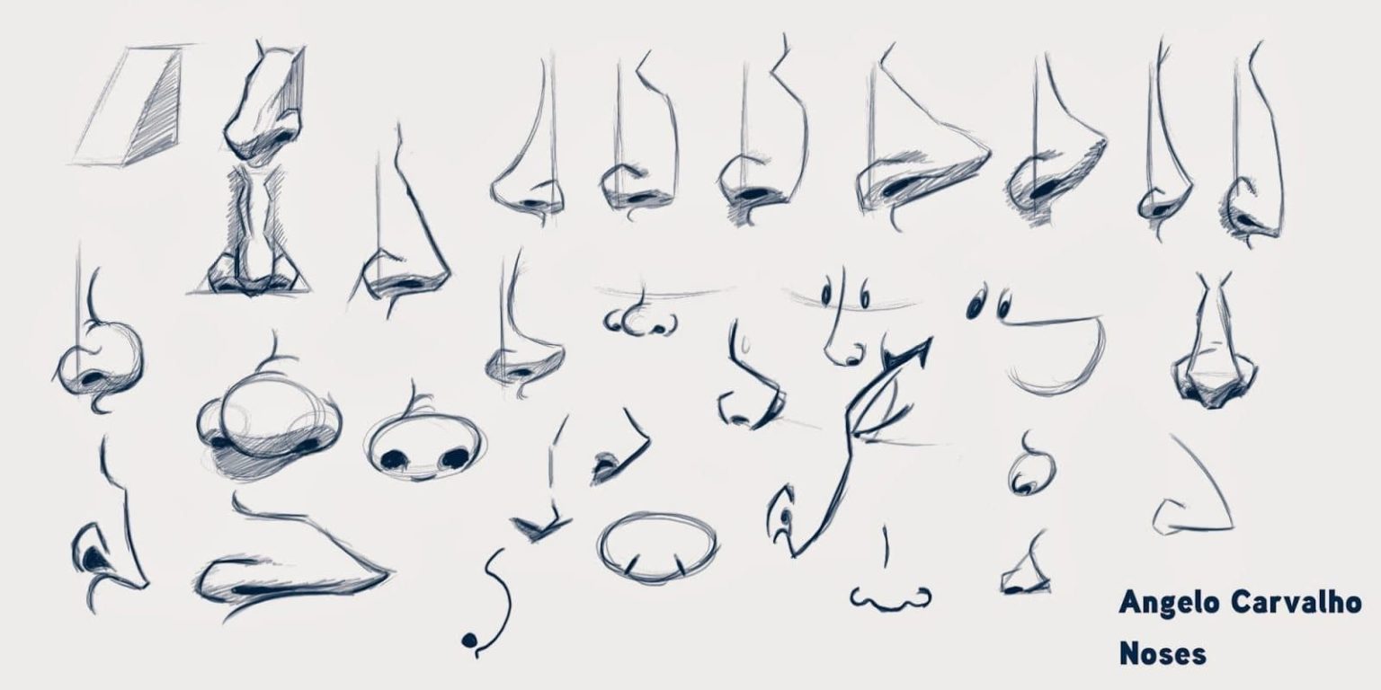 Come disegnare un naso passo dopo passo | WONDER DAY — Disegni da ...