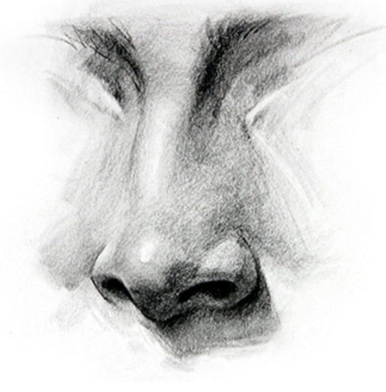 Come disegnare un naso passo dopo passo | WONDER DAY — Disegni da ...