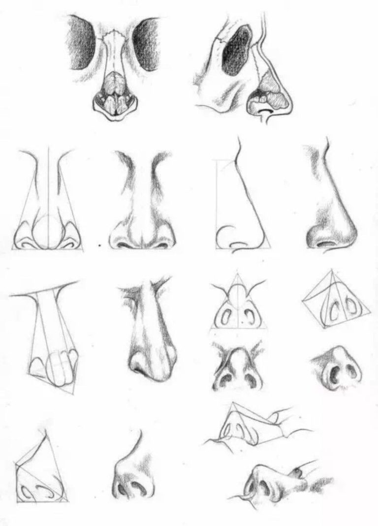 Cute Nose Drawing (55 Images) | WONDER DAY — Coloring pages for ...