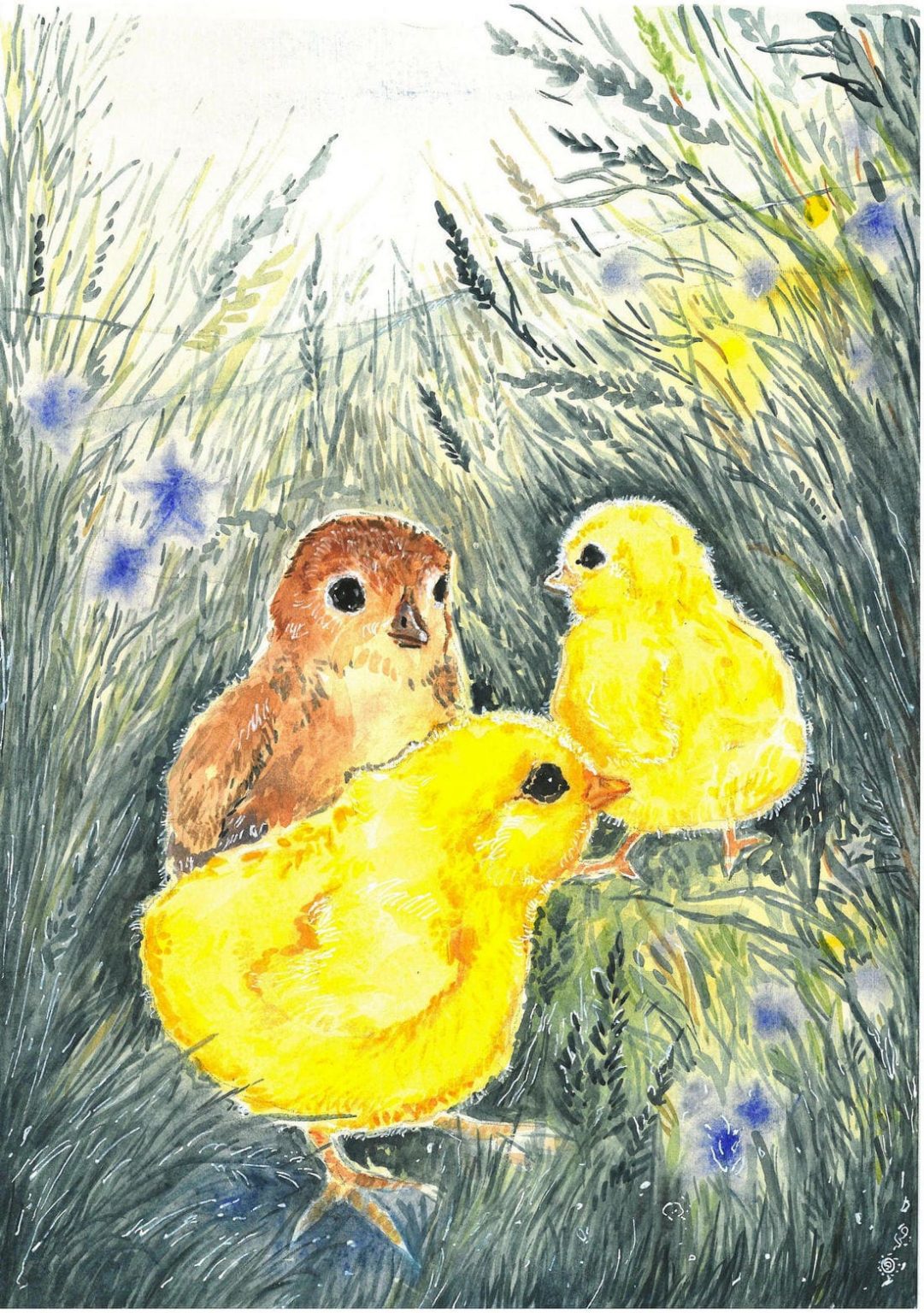 Lindo dibujo de pollo (45 Imágenes) | WONDER DAY — Dibujos para ...