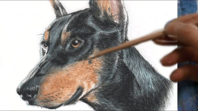 Easy Doberman Drawings (40 Images) | WONDER DAY — Coloring pages for ...