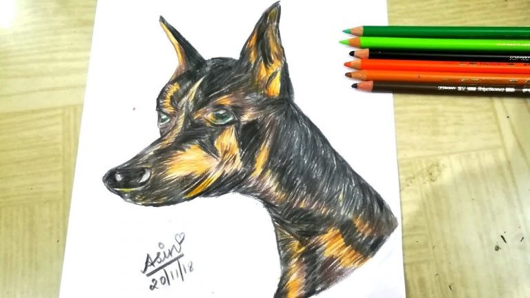 Easy Doberman Drawings (40 Images) | WONDER DAY — Coloring pages for ...
