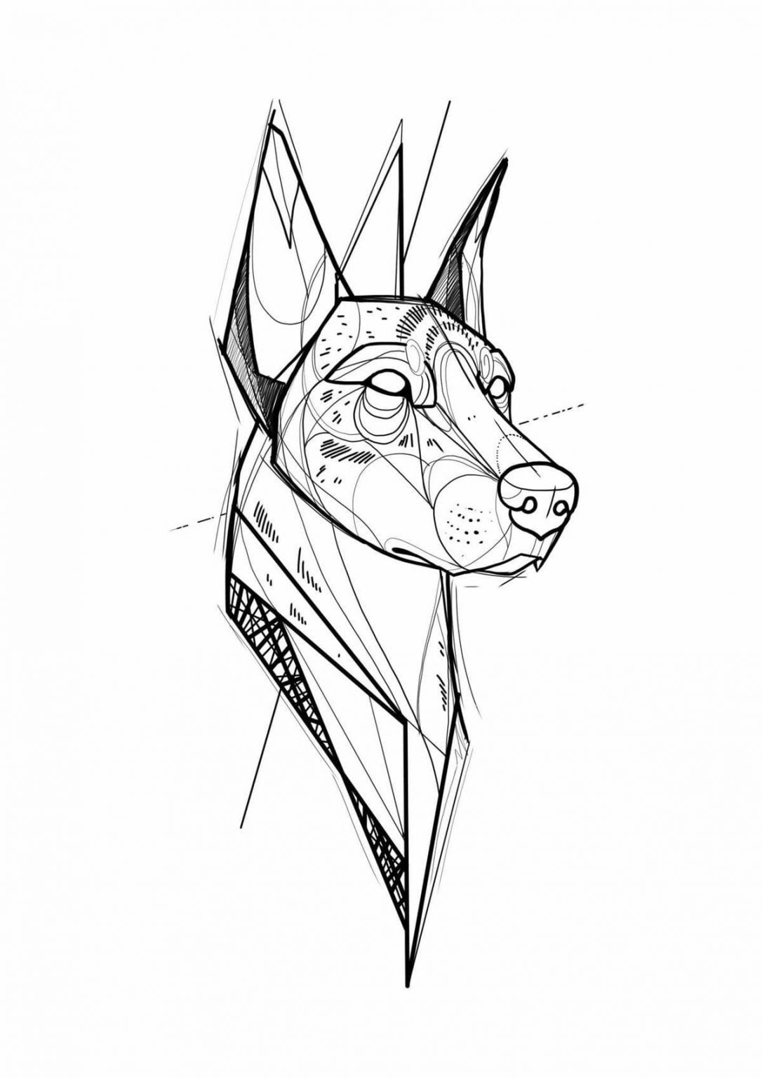 Easy Doberman Drawings (40 Images) | WONDER DAY — Coloring pages for ...