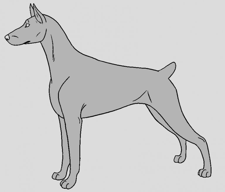 Easy Doberman Drawings (40 Images) | WONDER DAY — Coloring pages for ...