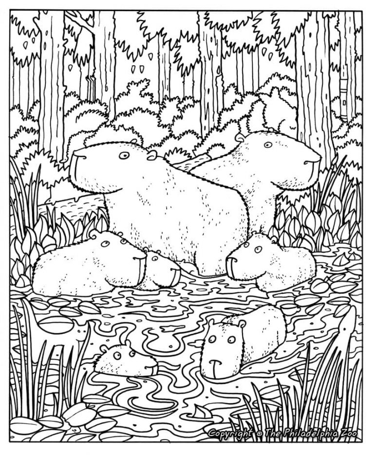Capybara coloring pages | 30 Images for coloring