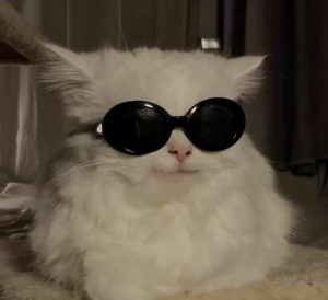 Steam Avatars | WONDER DAY — Coloring pages for children and adults