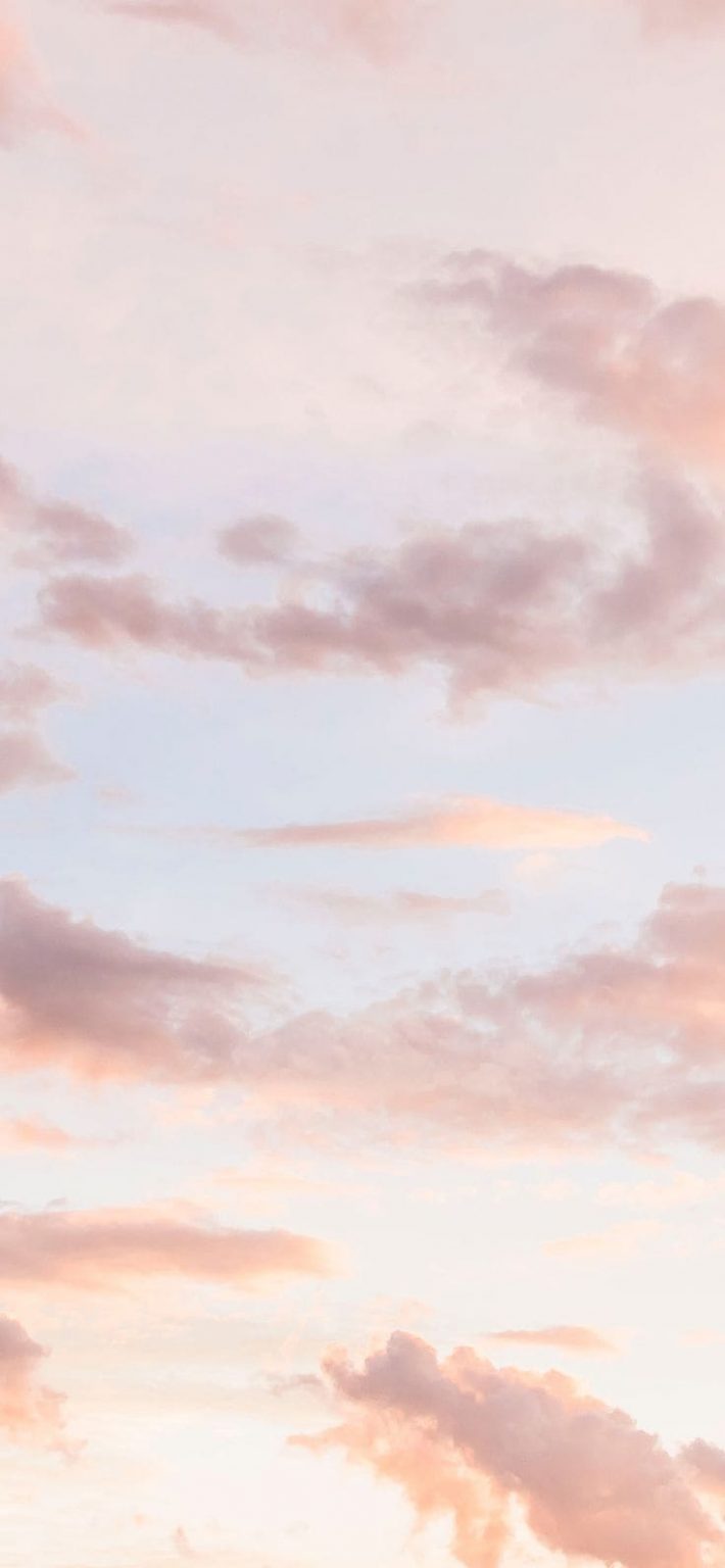 80+ Spring Phone Wallpapers | WONDER DAY