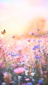 80+ Spring Phone Wallpapers | WONDER DAY