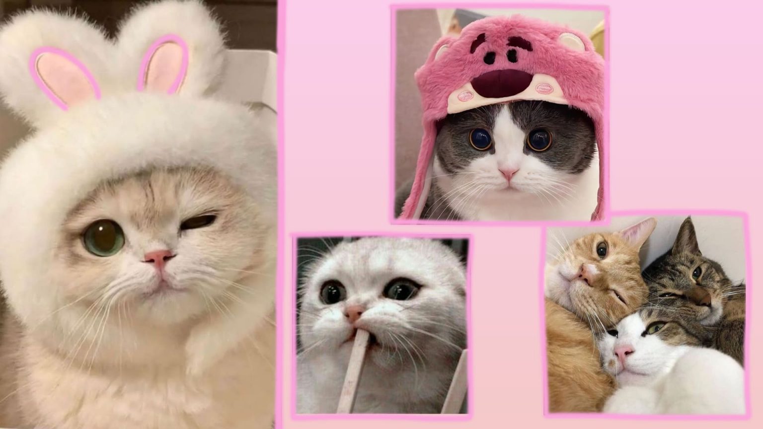 Free Printable Coloring Pages for Kids and Adults | WONDER DAY ...